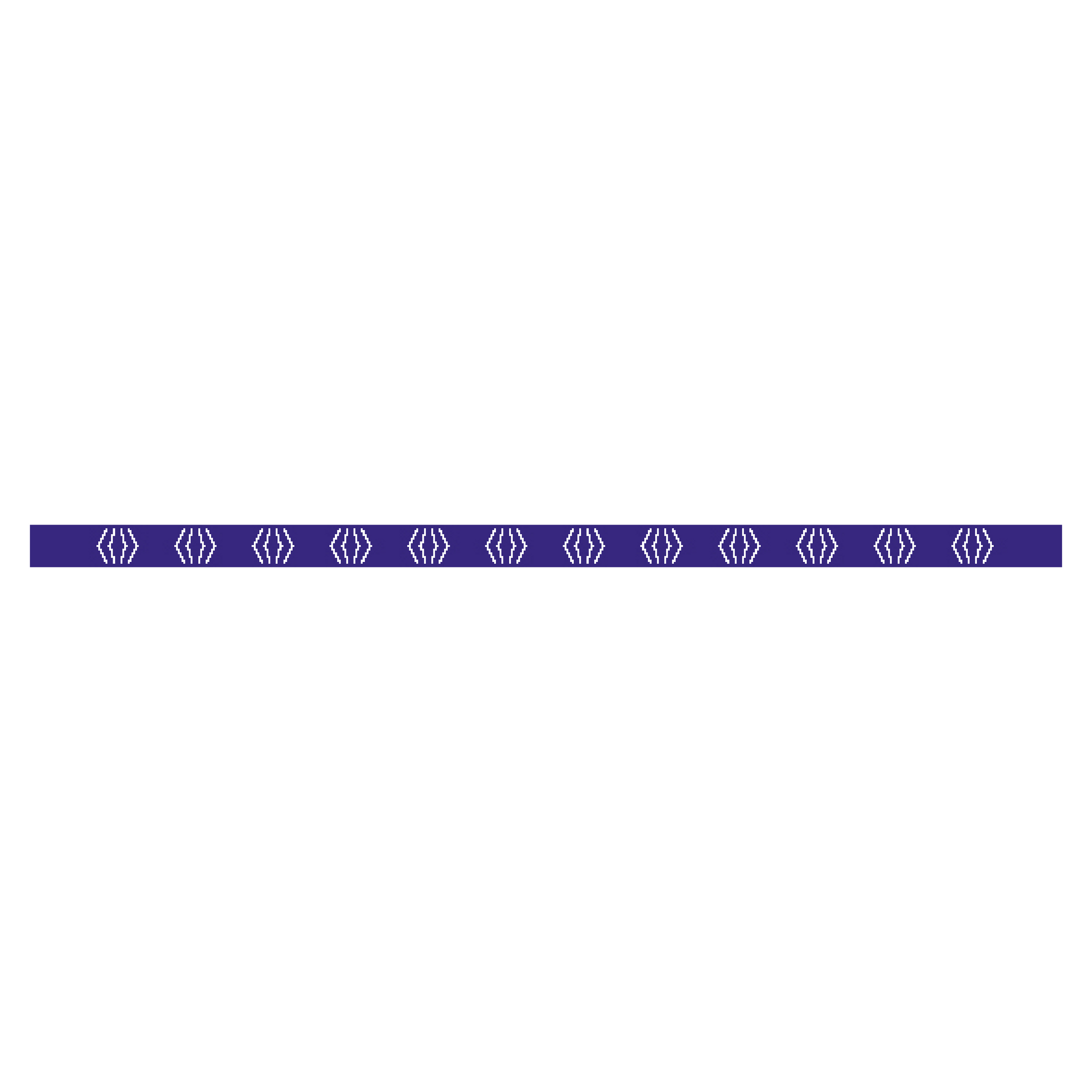 Idemia Belt – TheIdemiaStore